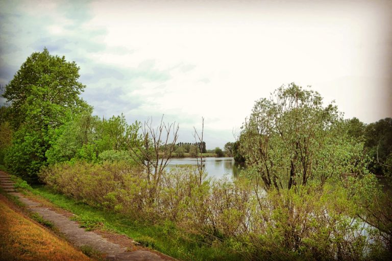 Cosa vedere a Mesola, itinerario di un giorno tra Castello e il Bosco