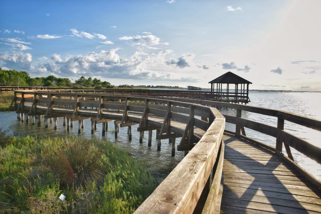Visitare il Giardino Botanico Litoraneo di Porto Caleri a Rosolina