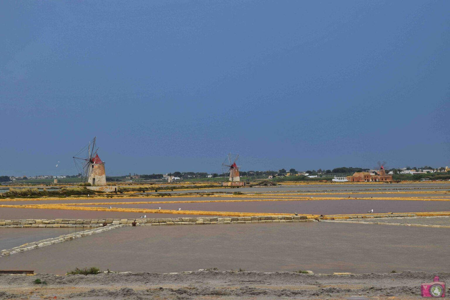 Visitare le Saline di Marsala e l'Isola di Mozia in Sicilia