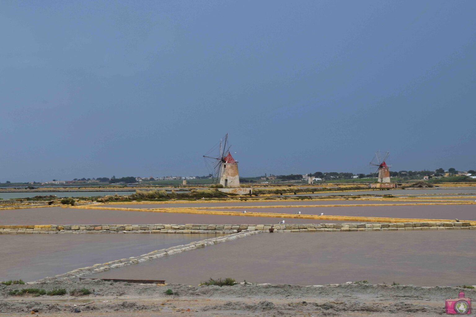 Visitare le Saline di Marsala e l'Isola di Mozia in Sicilia